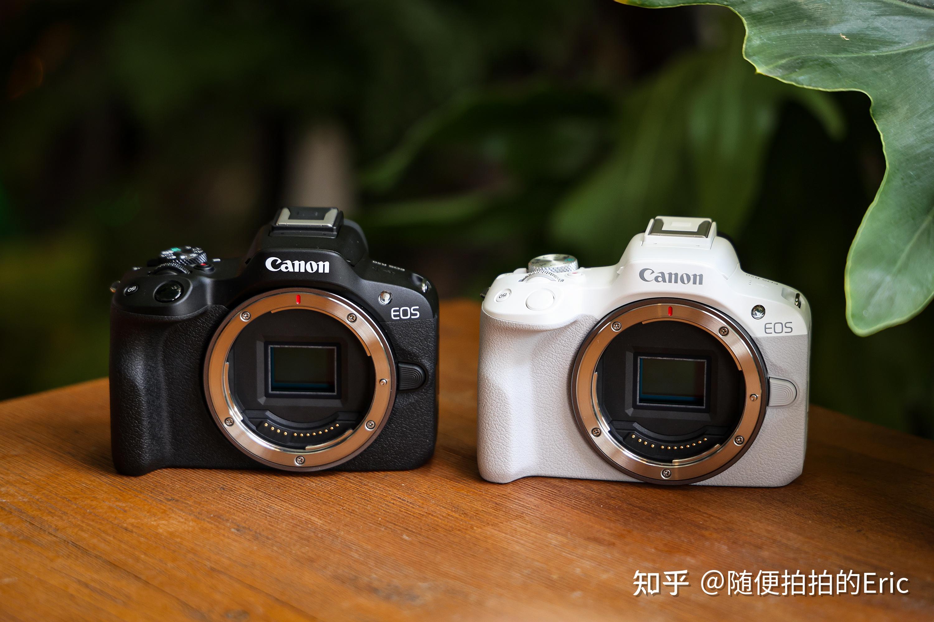 佳能EOS R8和EOS R50：只有巴掌大的全画幅微单你喜欢吗？