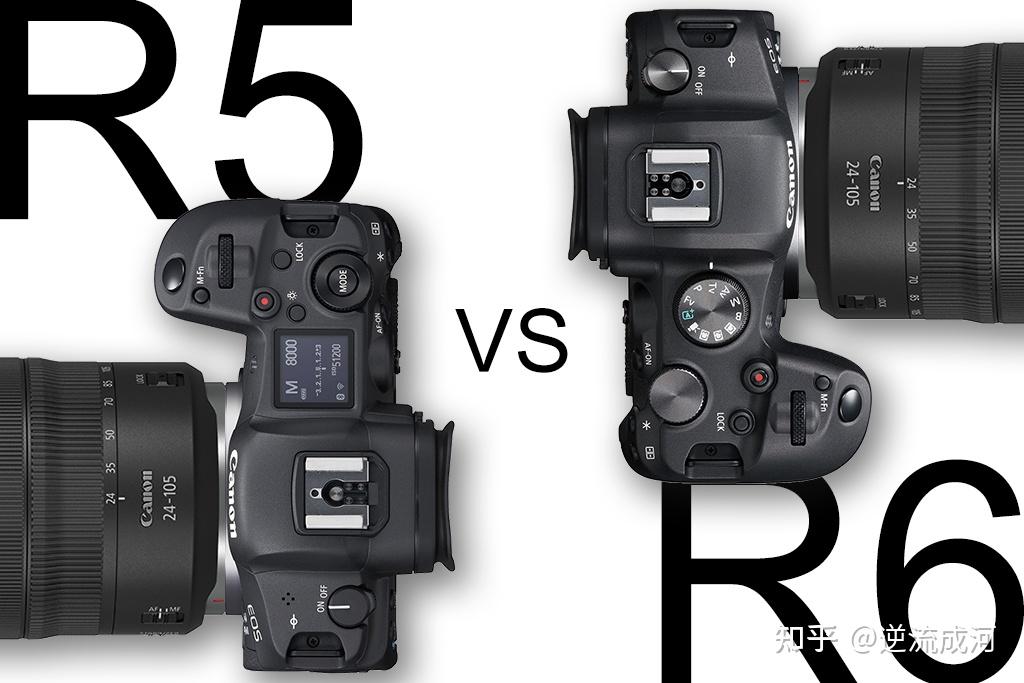 佳能EOS R5和R6该怎么选择？