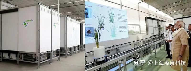 植物表型组学：未来作物表型分析工具的核心力量 - 知乎