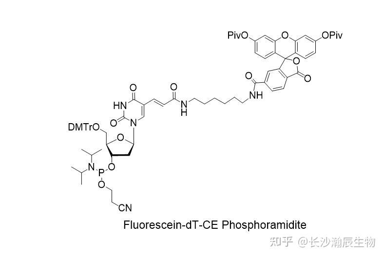 用于寡核苷酸标记的荧光染料 - 知乎