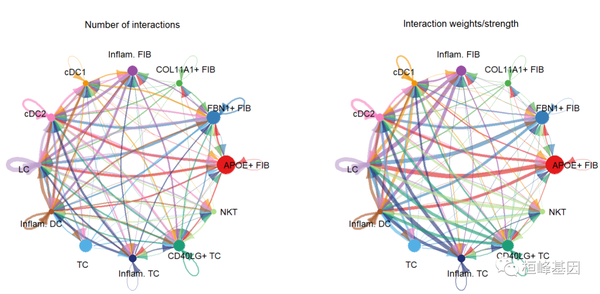 SCS【25】单细胞细胞间通信第一部分细胞通讯可视化（CellChat） - 知乎