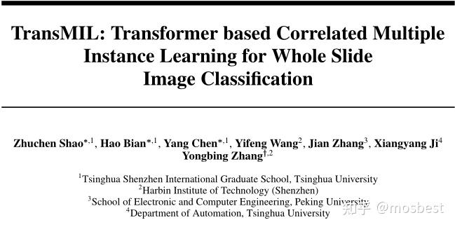 TransMIL: 基于 Correlated Multiple Instance Learning Transformer 用于 WSI Classification - 知乎