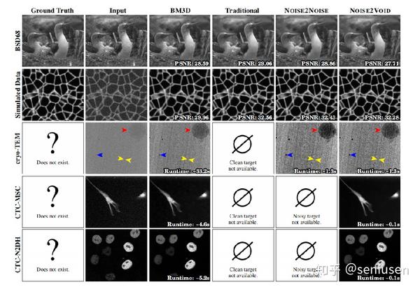 Noise2Void Denoising from Single Noisy Images - 知乎