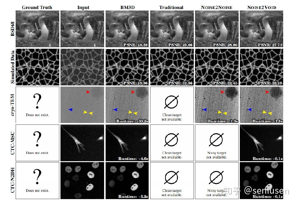 Noise2Void Denoising from Single Noisy Images - 知乎