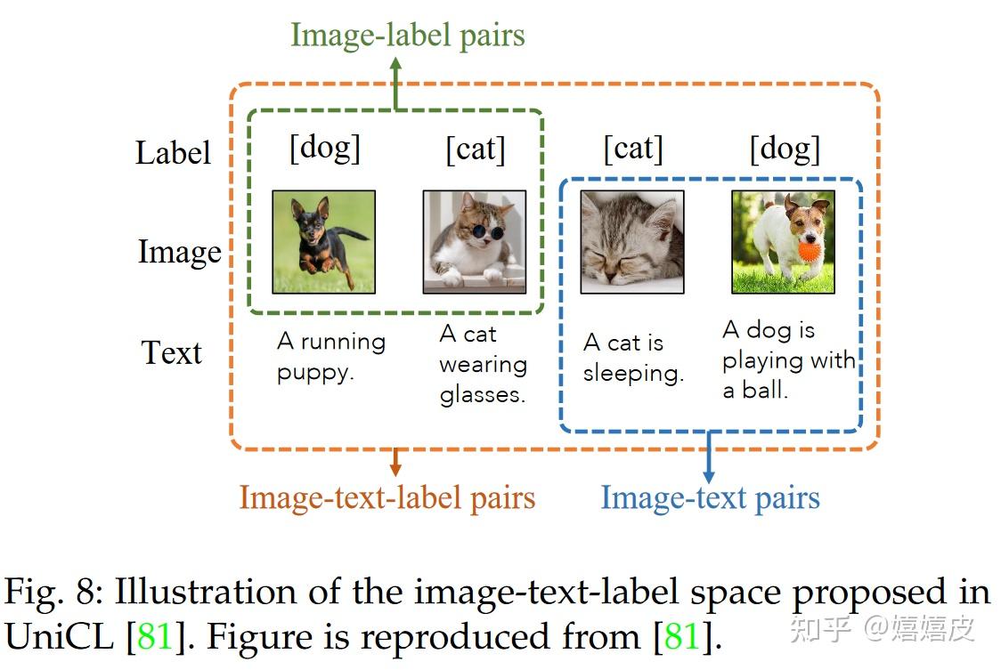 Vision-Language Models for Vision Tasks: A Survey - 知乎