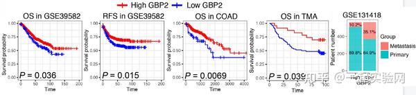 单基因生信文章的一区之路 - 知乎