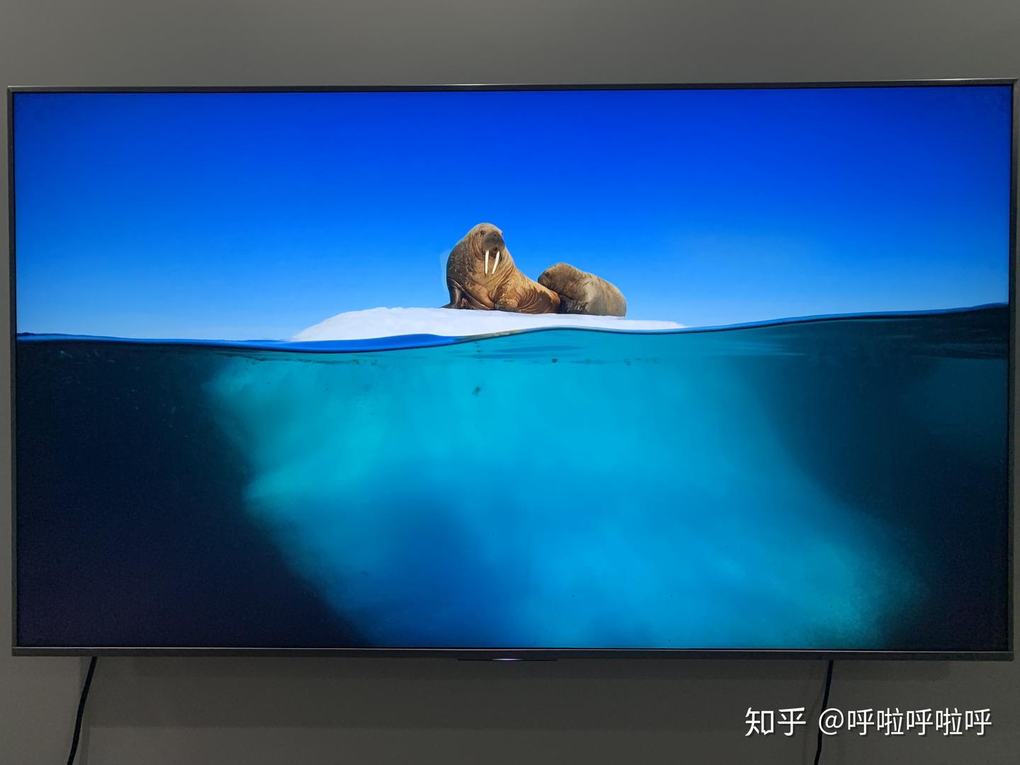 4K厅 篇一：4K纪录片究竟有多少？珍藏好这份全球最全4K超清蓝光纪录片清单（第1-10部） - 知乎