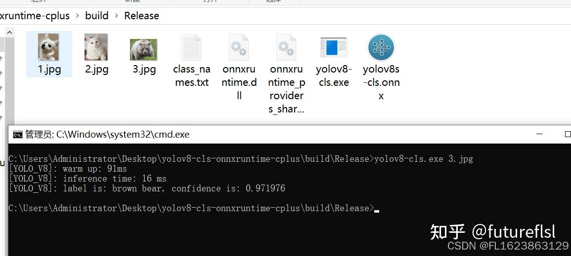 [c ]使用onnxruntime部署yolov8 Cls图像分类onnx模型 知乎