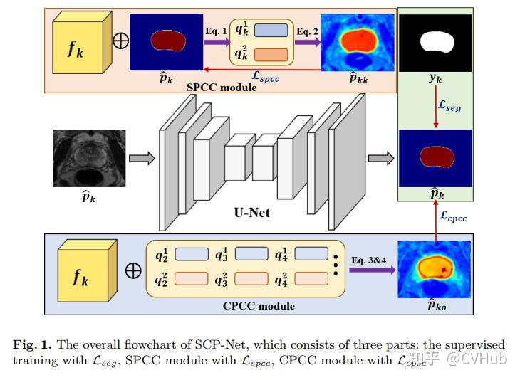 MICCAI 2023 | SCP-Net: 基于一致性学习的半监督医学图像分割方法 - 知乎