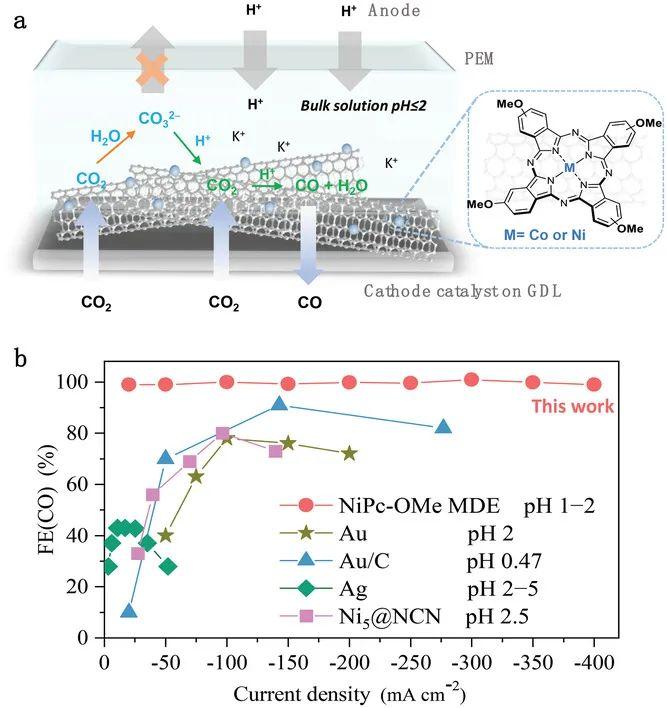 南科大梁永晔AEM：选择性近100%！分子催化剂助力酸性电解质中CO2还原 - 知乎