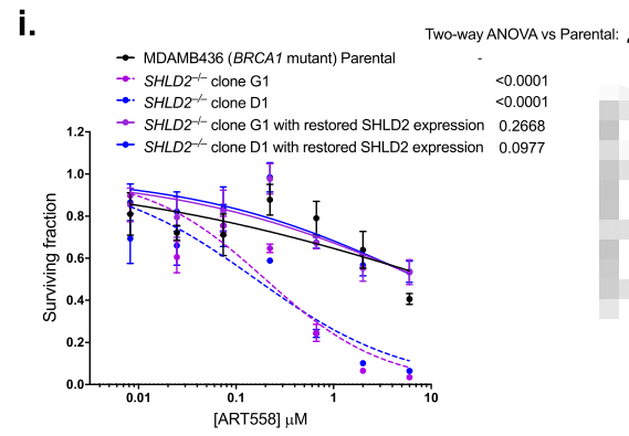 Polθ抑制剂在合成致死中的应用 - 知乎