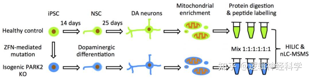 iPSC+基因编辑，助力神经系统疾病研究 - 知乎