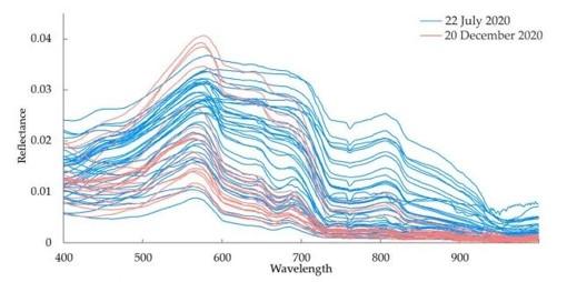ASD | ASD FieldSpec 4光谱仪在珠江河口悬浮沉积物浓度反演上的应用 - 知乎