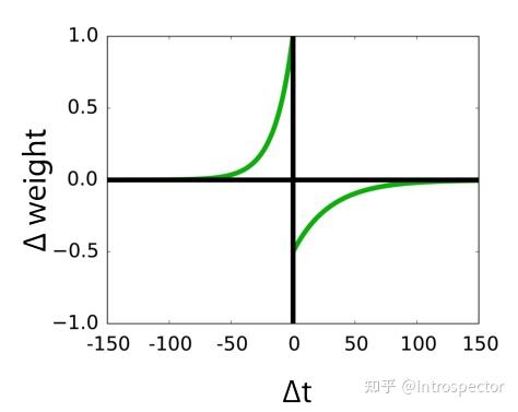 STDP神经可塑性的计算建模 - 知乎