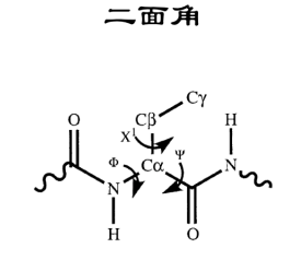 [47] DiffDock:用扩散模型解决分子对接任务 - 知乎