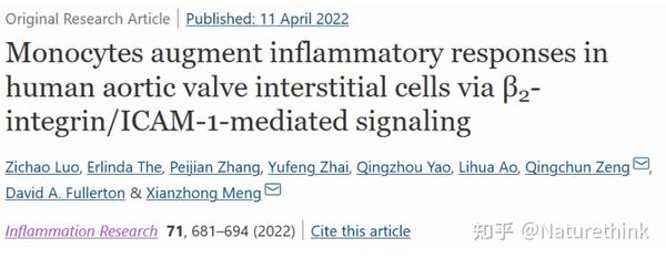 单核细胞通过β2-整合素/ICAM-1介导的信号增强人主动脉瓣间质细胞的炎症反应 - 知乎
