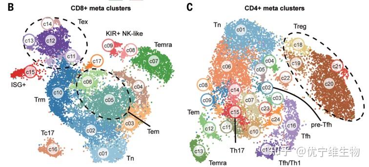 【优方案】TIL肿瘤浸润淋巴细胞——Cell Based Solution - 知乎