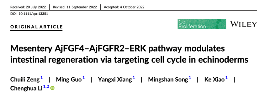 Cell Prolif︱李成华团队揭示仿刺参肠再生的分子调控机制 - 知乎