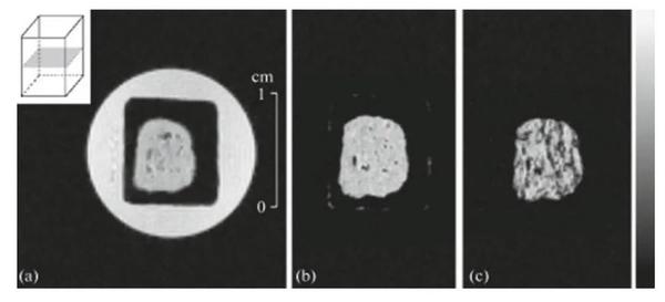 《Advanced Functional Porous Materials》最新综述： MRI等三维成像技术在大孔材料中的应用 - 知乎