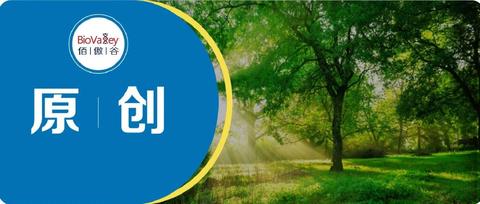 艾伯维决定收购TeneoOne获得BCMA/CD3双抗TNB-383B - 知乎