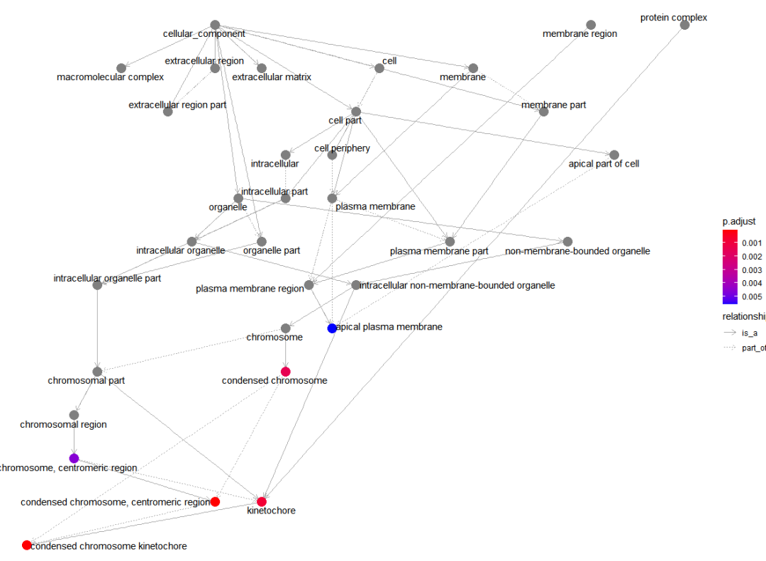 GEO数据挖掘（三）— 基因通路富集全套代码分享 - 知乎