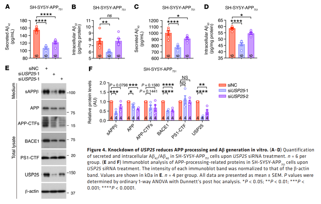 JCI：唐氏综合征相关基因USP25调控阿尔茨海默病理新机制 - 知乎