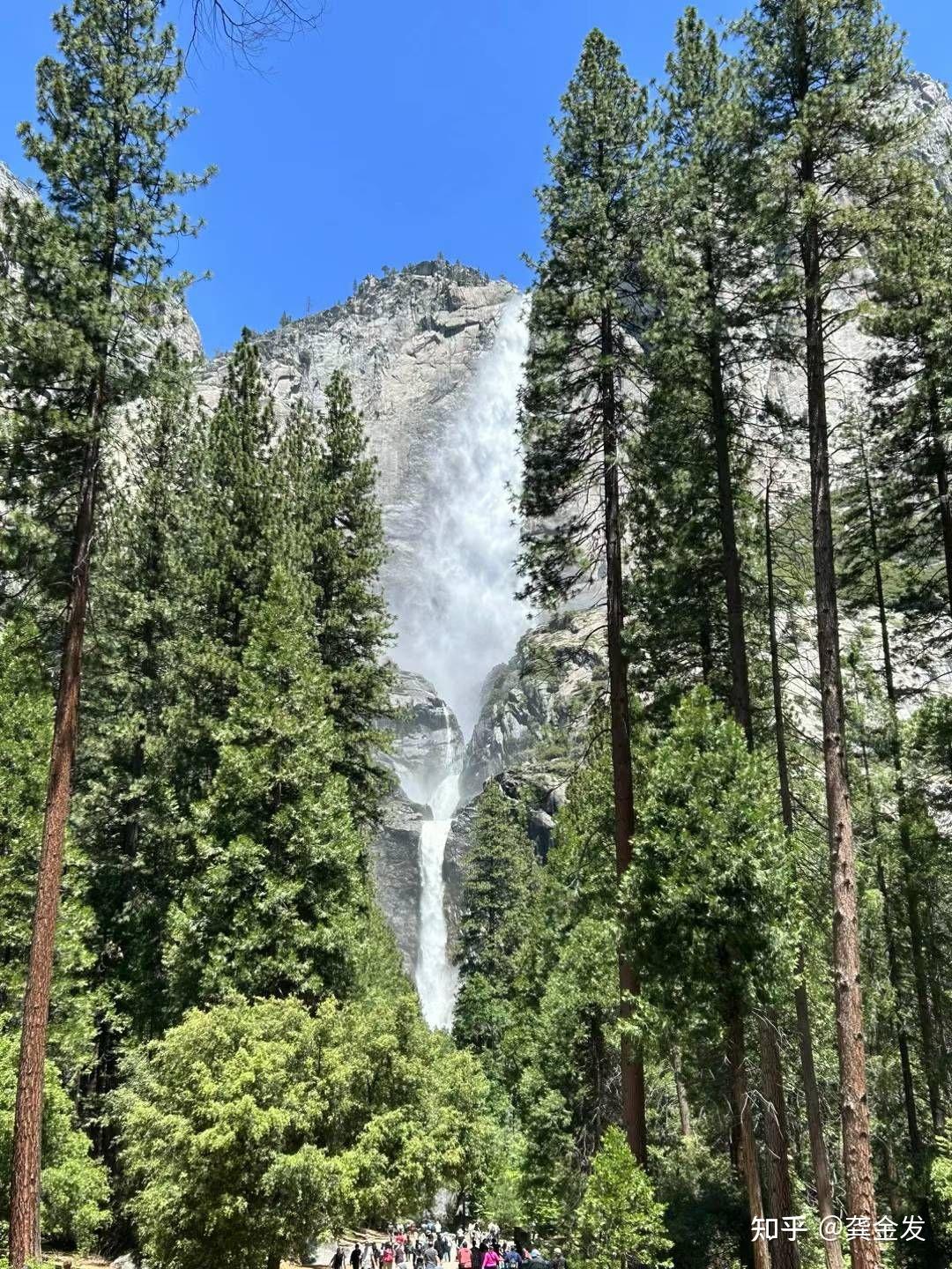 垃圾食品 危害、鉴别、应对 - 知乎