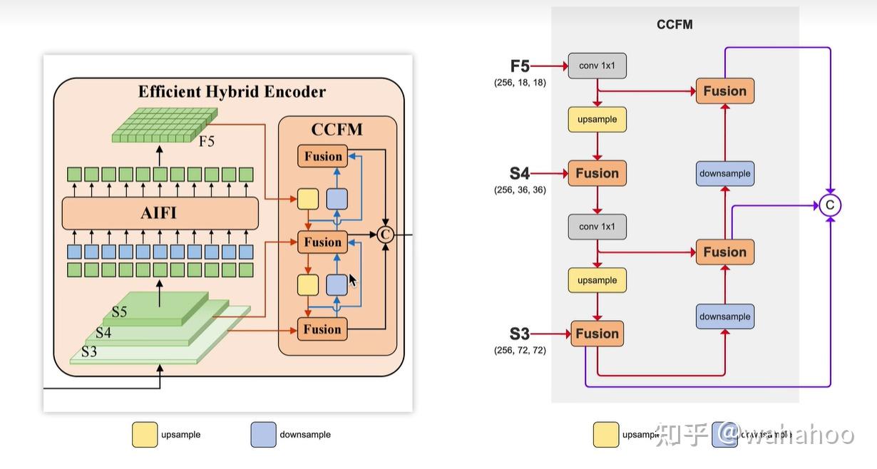 详细的RT-DETR详细 - 知乎