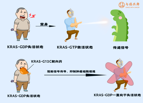 KRAZATI（Adagrasib）美国获批上市，KRAS G12C患者的福音 - 知乎