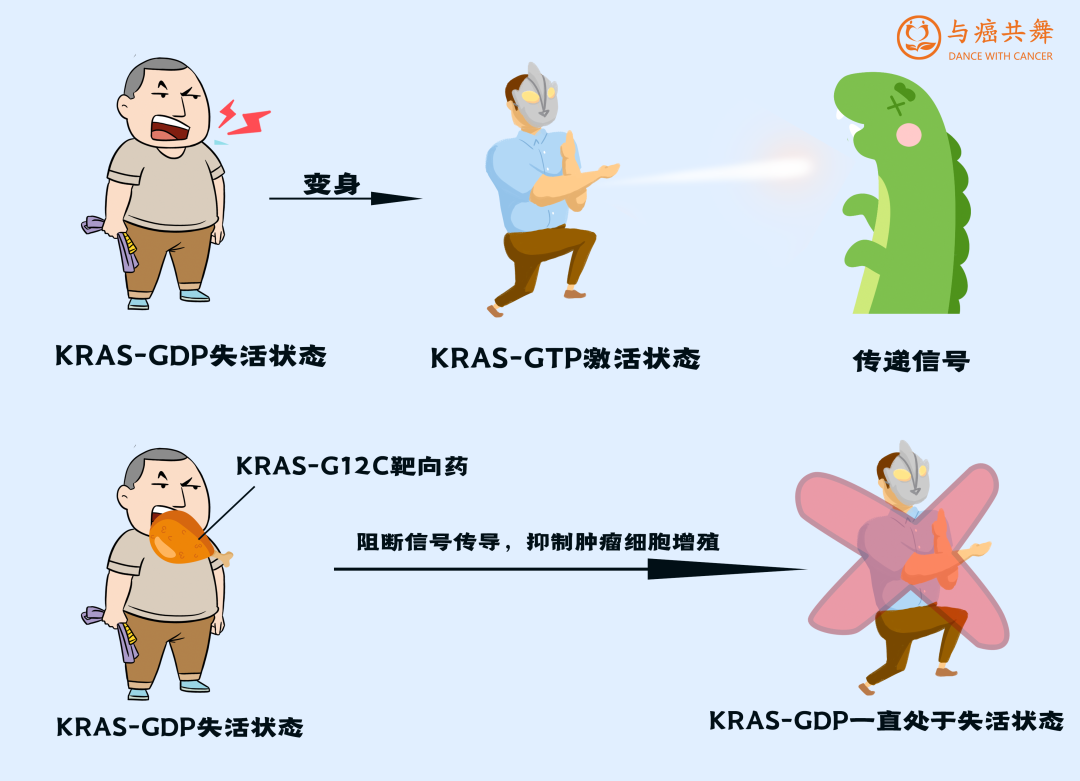 KRAZATI（Adagrasib）美国获批上市，KRAS G12C患者的福音 - 知乎