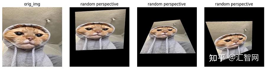 PyTorch微调终极指南3：使用数据增强 - 知乎
