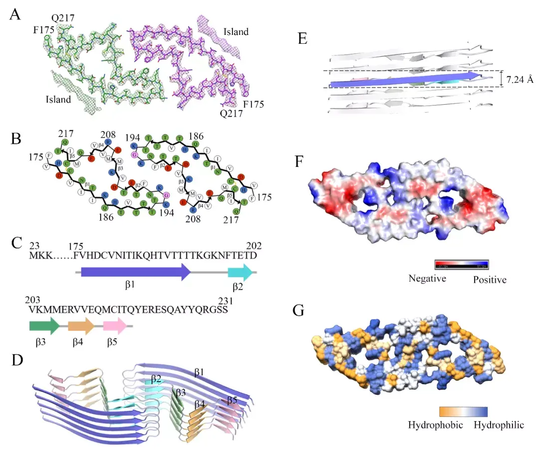 9.11 脑科学日报| Sci Adv：DNMT1突变导致神经退行性疾病分子机制 - 知乎