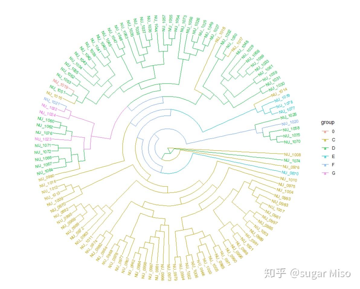使用ggtree对进化树进行分组美化 - 知乎