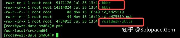 使用Solopace.Gem实现无公网IP连接自建RustDesk中继服务器(Linux) - 知乎