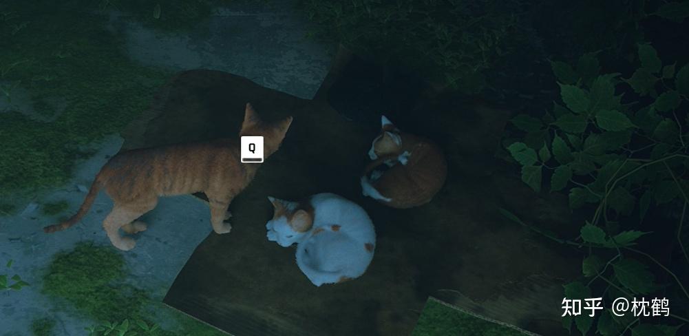 从《Stray》拆解游戏关卡设计和美术（一） - 知乎
