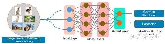 卷积神经网络(ConvNet/CNN)介绍 - 知乎
