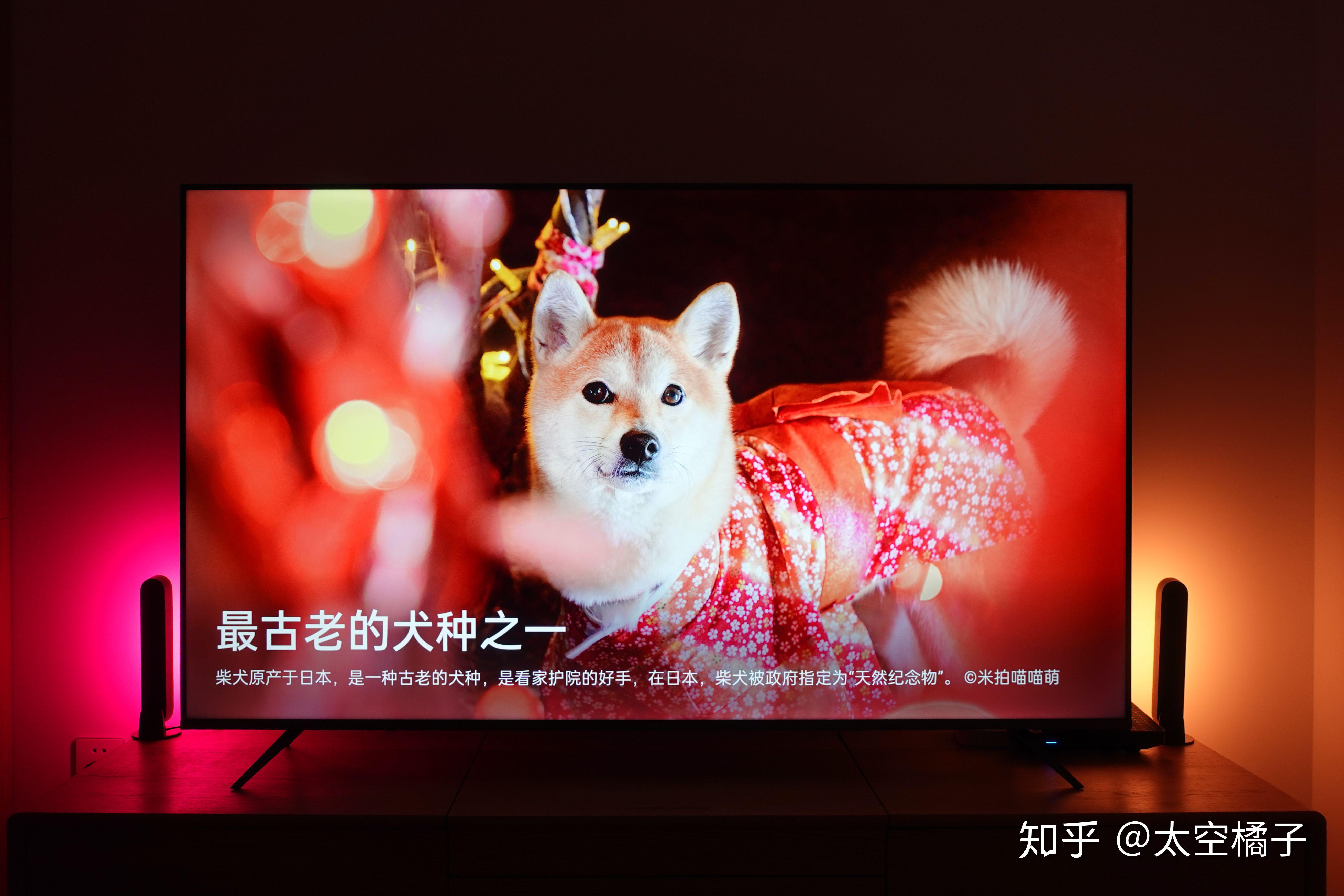 OPPO 发布 S1 电视和 R1 电视，各有何特色，如何选择？