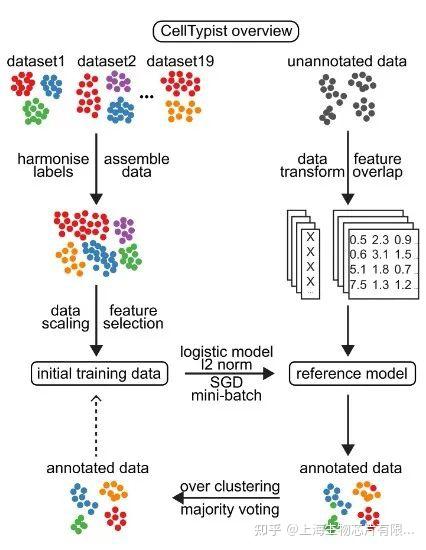 单细胞测序实用工具：细胞类型注释，这一篇就够了 - 知乎