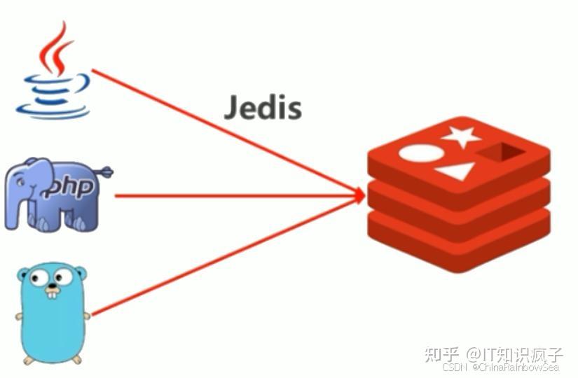 Redis 当中 Jedis 的详细刨析与使用 - 知乎