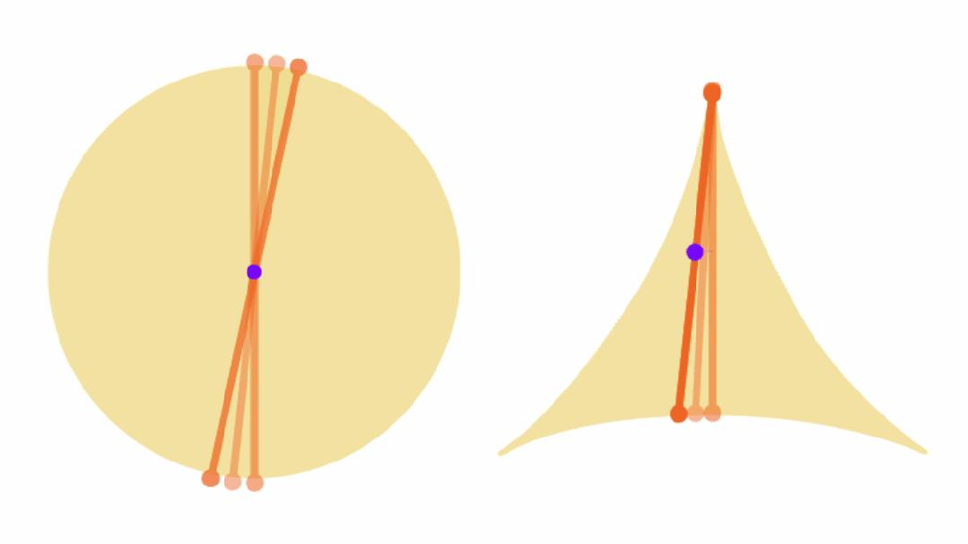 中国天才女数学家提前锁定菲尔兹奖？百年数学难题终被华人攻克！ - 知乎