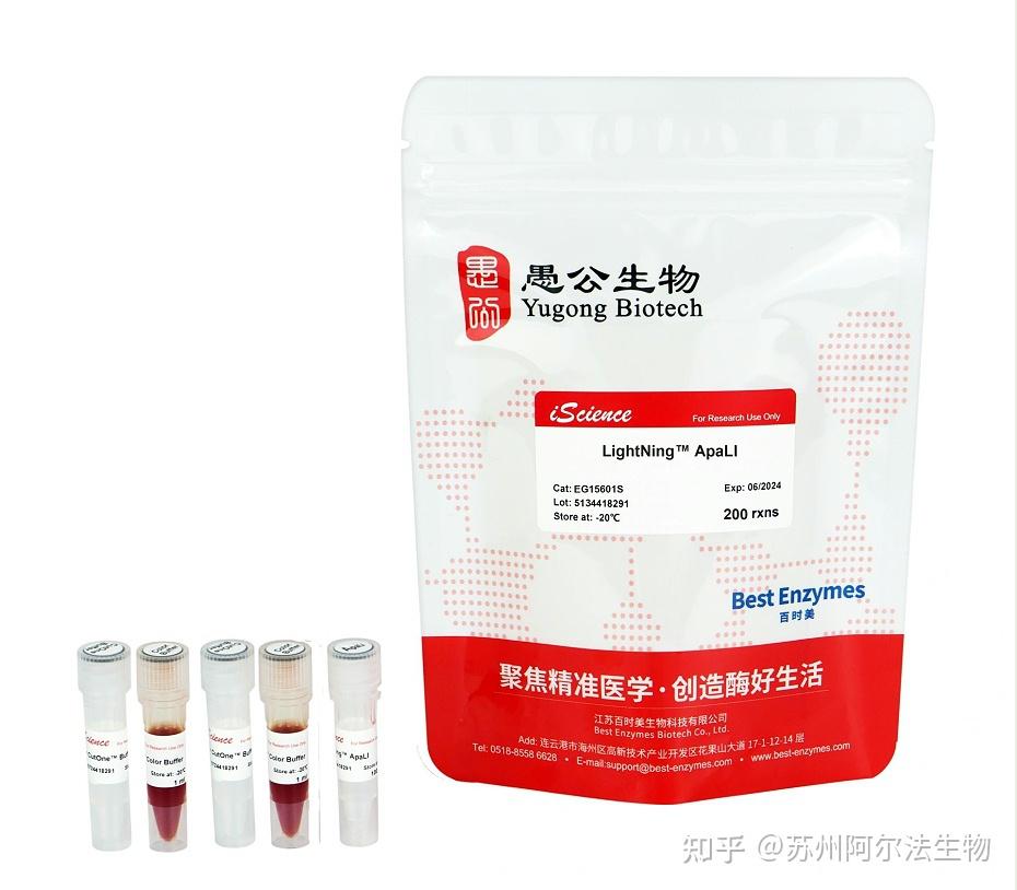 ApaLI内切酶 - 知乎
