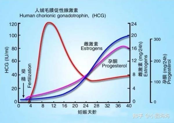 一个HCG数值就看出这么多事情？ - 知乎
