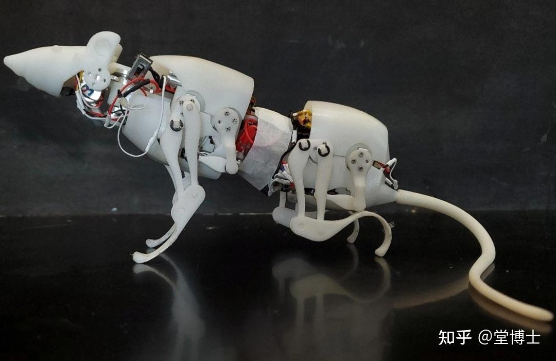 北理工“机器鼠”出动！X光片精度还原，载重物爬窄管不在话下 - 知乎