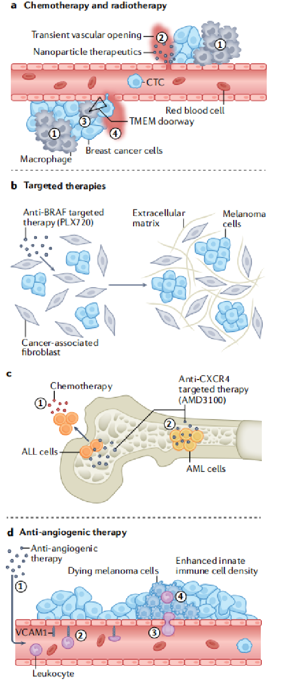 Nat Rev | 活体成像研究癌症的发展和转移 - 知乎