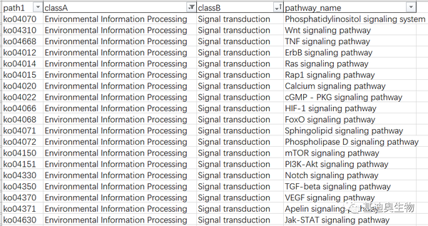 MAPK通路(ko04010)专题解析（上） - 知乎