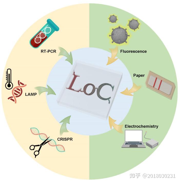 医疗器械设计：当POCT(现场快速诊断技术)遇上微流控技术 - 知乎