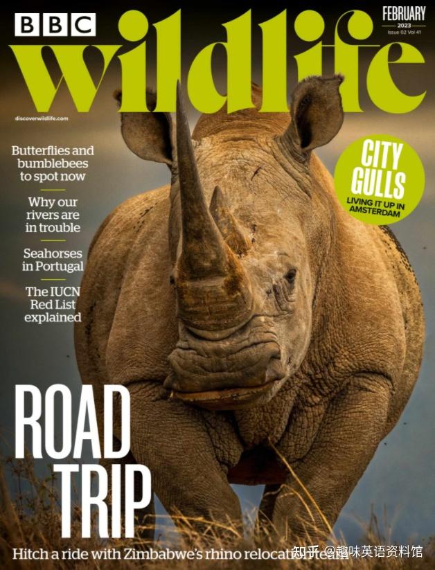最新英国BBC系列杂志 2023年2月新刊 包括Wildlife,History,gardeners,Good food等 - 知乎