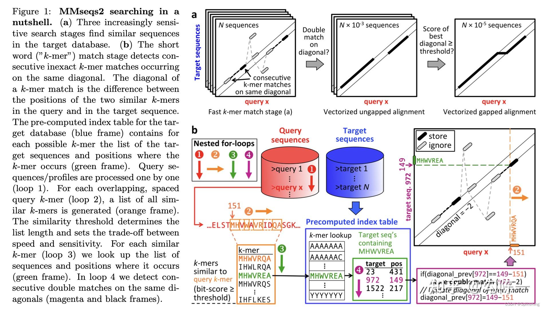 学习笔记：MMseq2和HMMER：MSA到底是怎么生成的 - 知乎