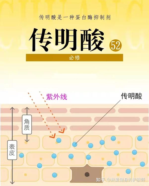 护肤成分——传明酸（蛋白酶抑制剂） 知乎