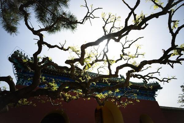 尼克尔Z DX 12-28mm f/3.5-5.6 PZ VR评测：高素质电动变焦镜头 - 知乎